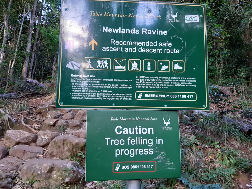Cape Town Day Hikes: A Newlands Forest Route - She Hikes ... A lot!