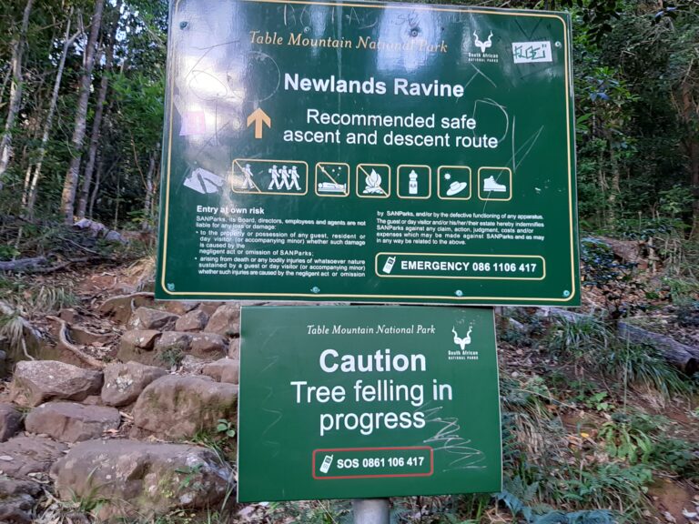 Cape Town Day Hikes: A Newlands Forest Route - She Hikes ... A lot!