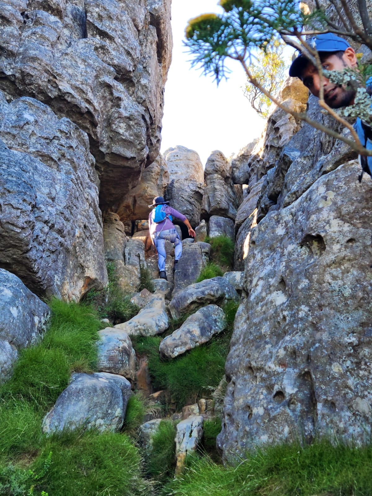 Cape Town Hiking: The India Venster Route - She Hikes ... A lot!