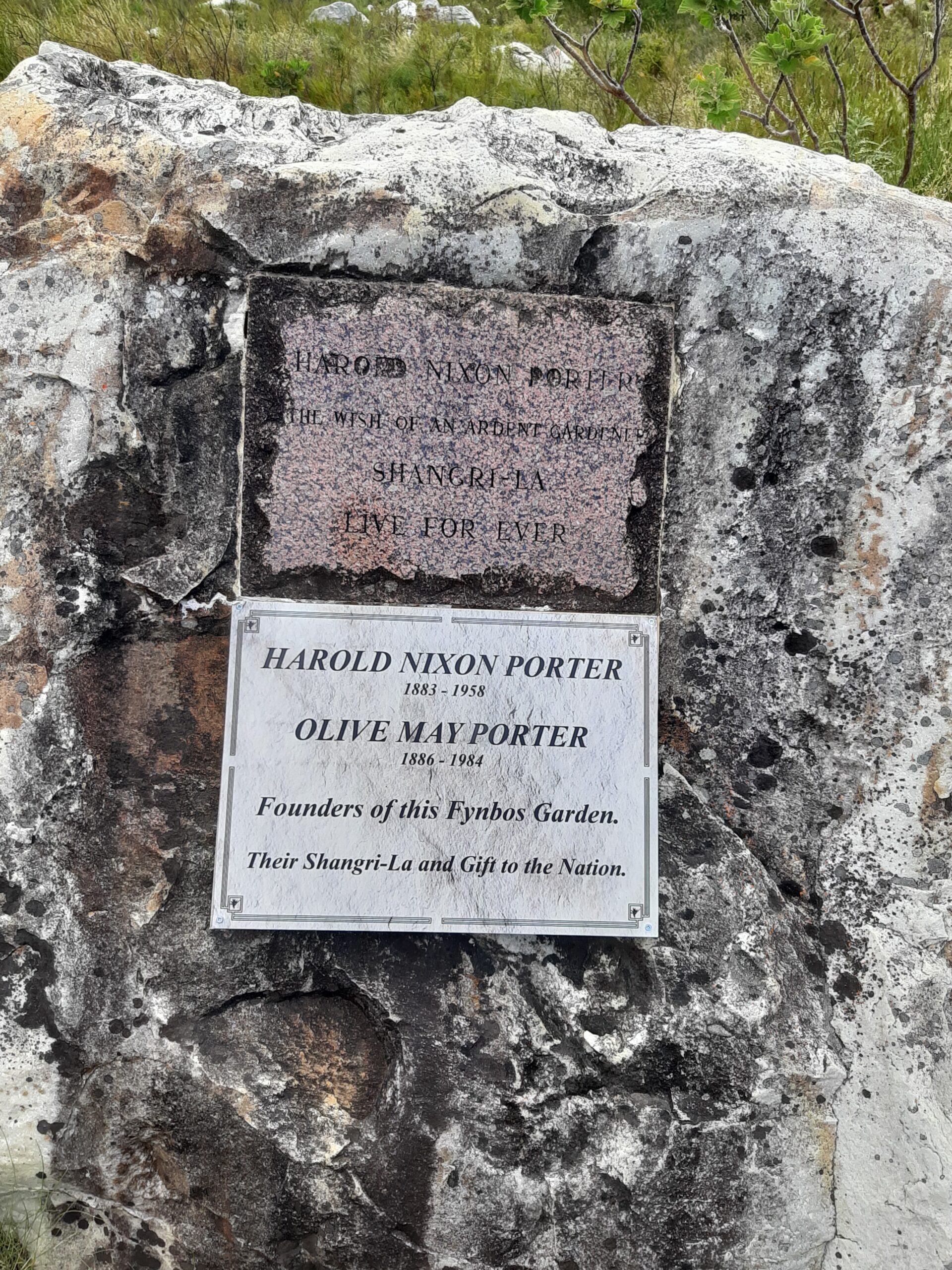 Cape Town Day Hikes: The Harold Porter Botanical Gardens - Love Nature