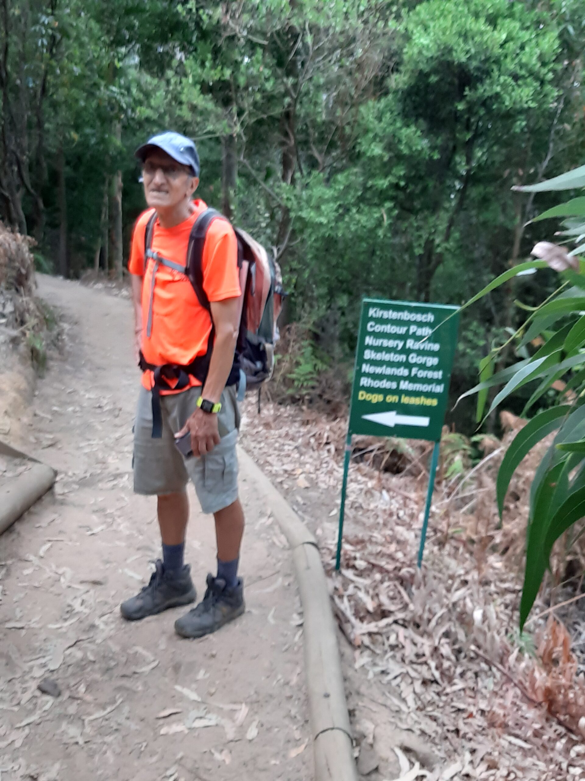 Cape Town Day Hikes: The Nursery Ravine Hiking Trail - She Hikes ... A lot!