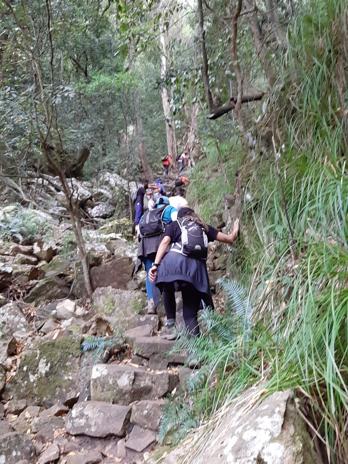 Cape Town Day Hikes: The Nursery Ravine Hiking Trail - She Hikes ... A lot!