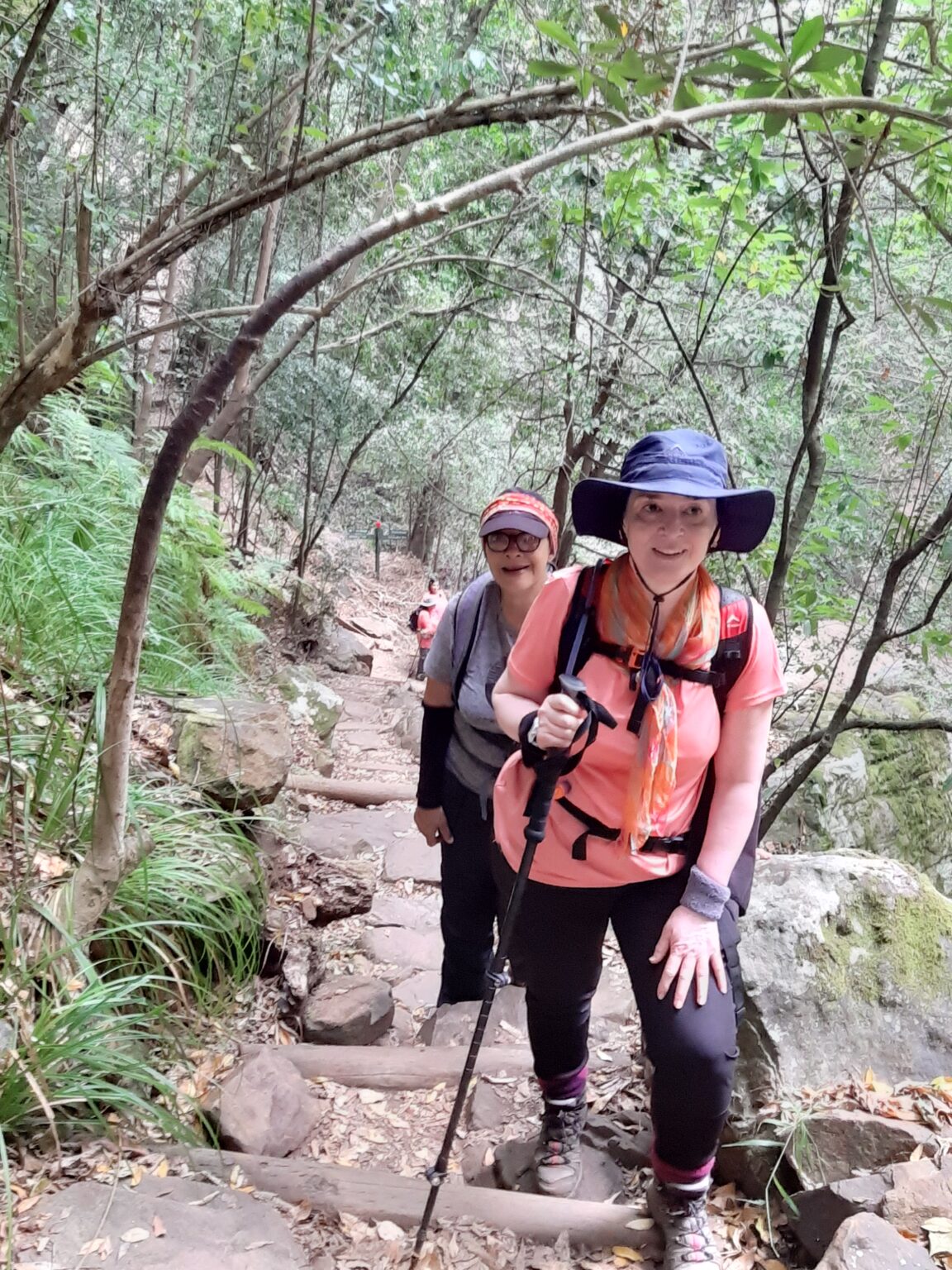 Cape Town Day Hikes: The Nursery Ravine Hiking Trail - She Hikes ... A lot!