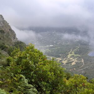 Cape Town Day Hikes: The Nursery Ravine Hiking Trail - She Hikes ... A lot!