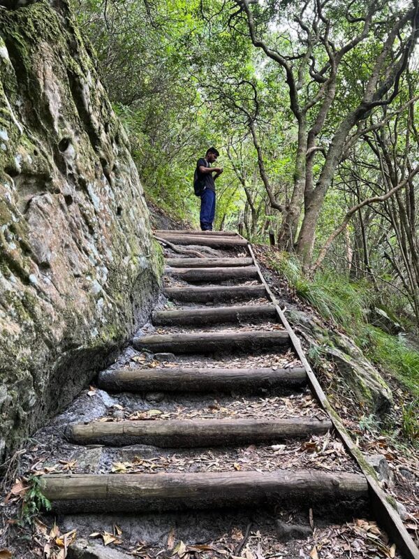 Cape Town Day Hikes: The Nursery Ravine Hiking Trail - She Hikes ... A lot!