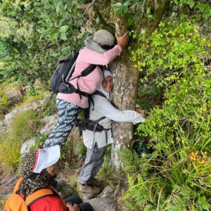 Cape Town Day Hikes: The Nursery Ravine Hiking Trail - She Hikes ... A lot!
