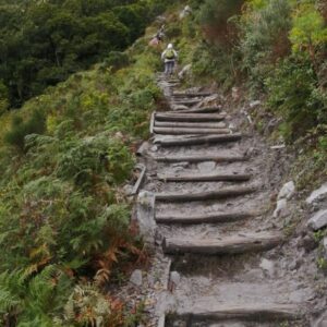 Cape Town Day Hikes: The Nursery Ravine Hiking Trail - She Hikes ... A lot!