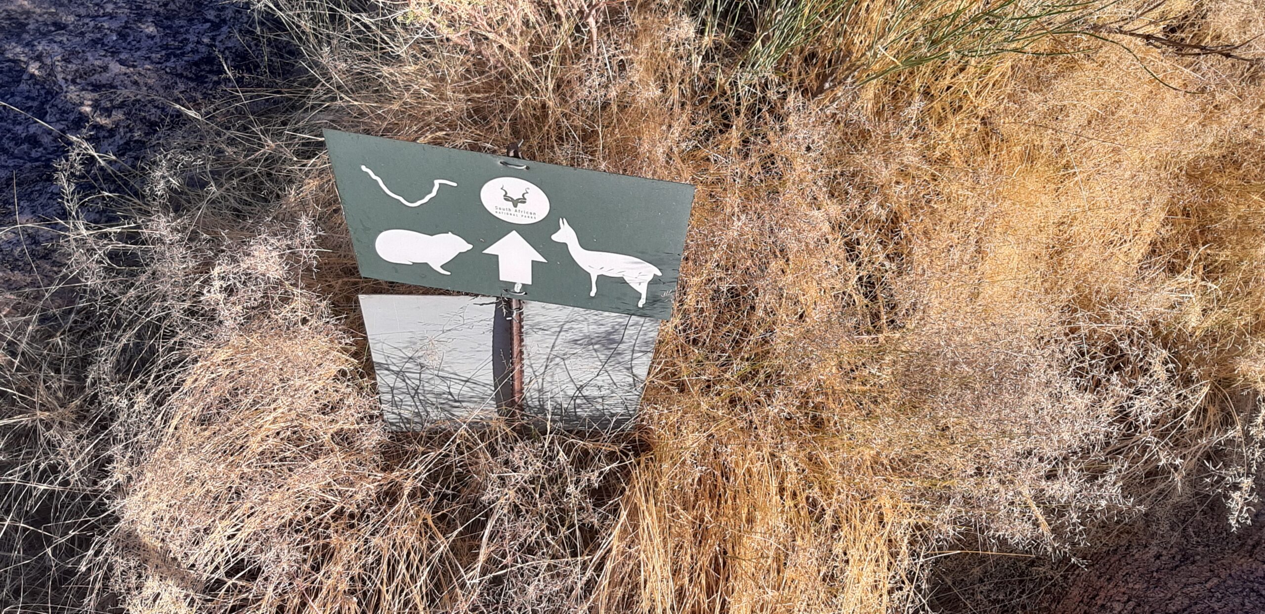 Discover the Thrill of Hiking The Klipspringer Trail in the Northern ...