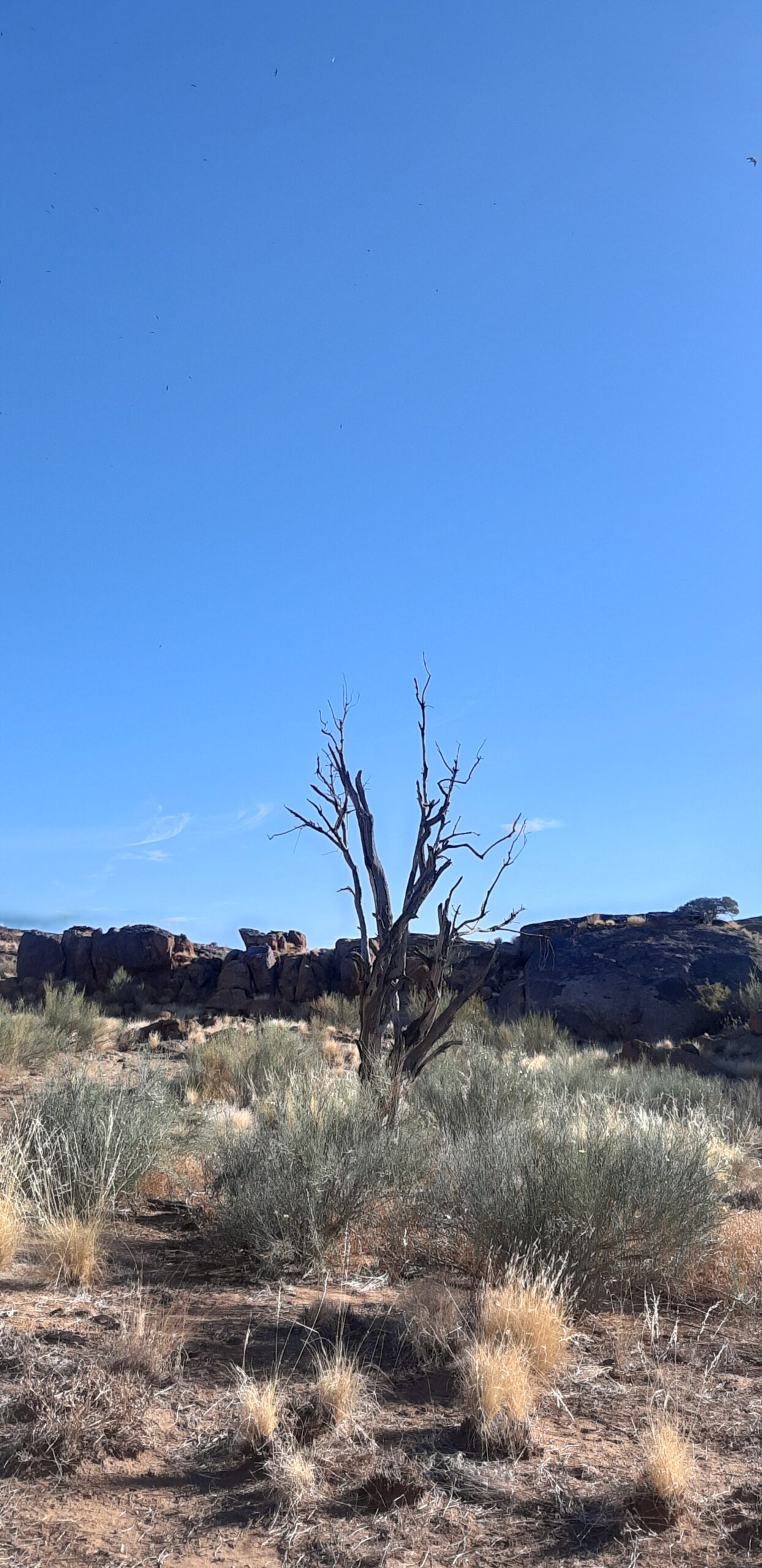 Discover the Thrill of Hiking The Klipspringer Trail in the Northern ...