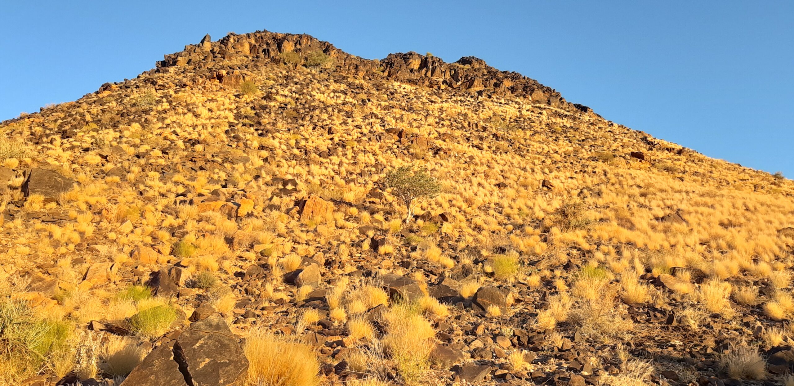 Discover the Thrill of Hiking The Klipspringer Trail in the Northern ...