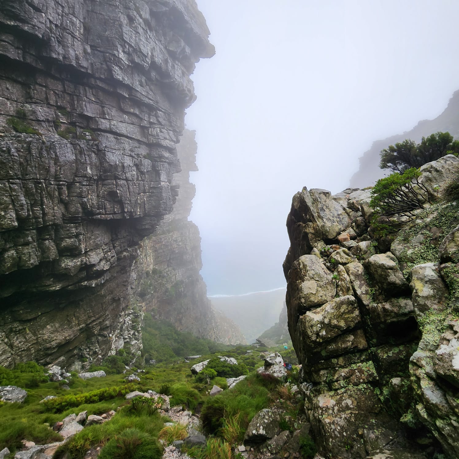 Day Hikes - She Hikes ... A lot! Day Hikes