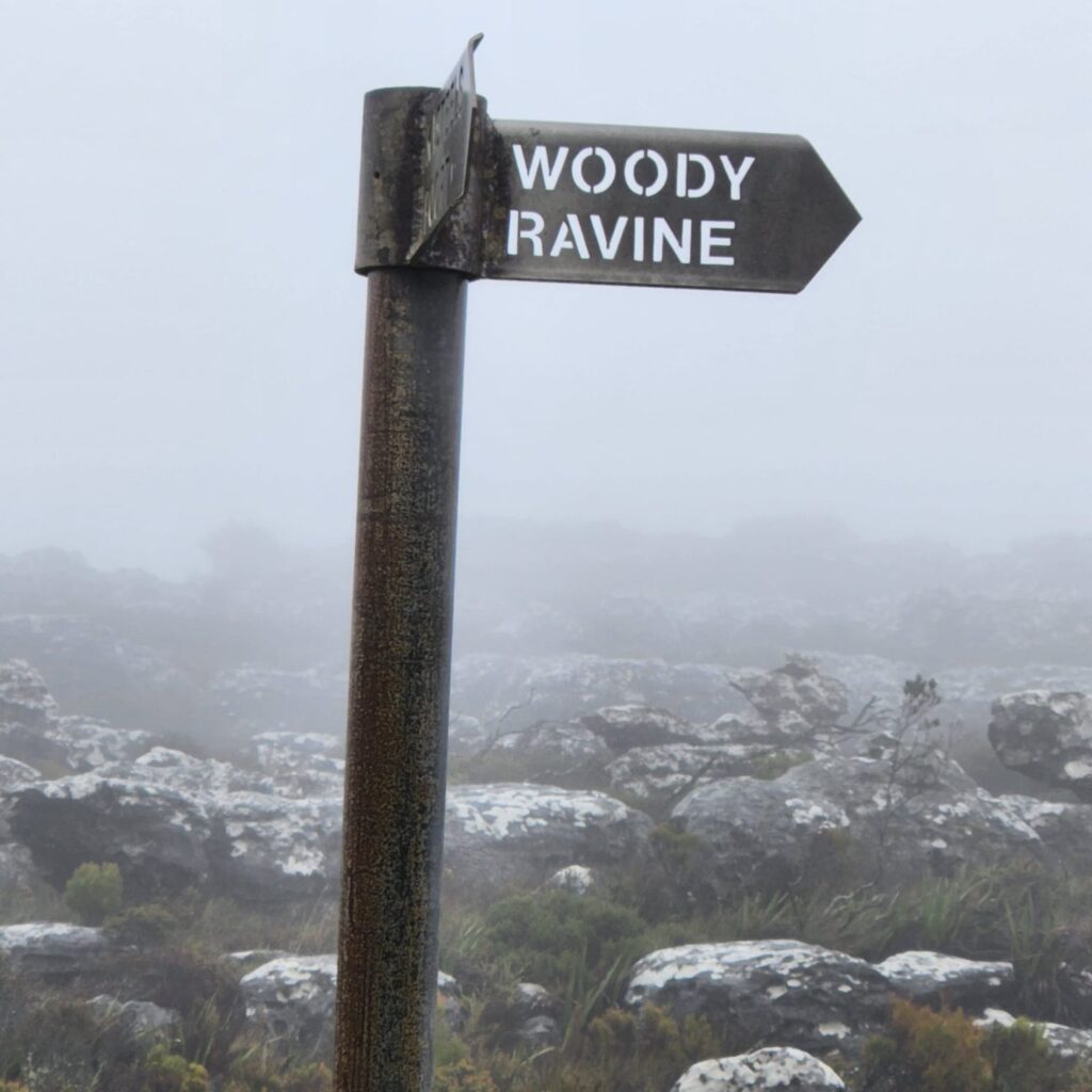 Unveiling the Majestic Woody Ravine - She Hikes ... A lot!