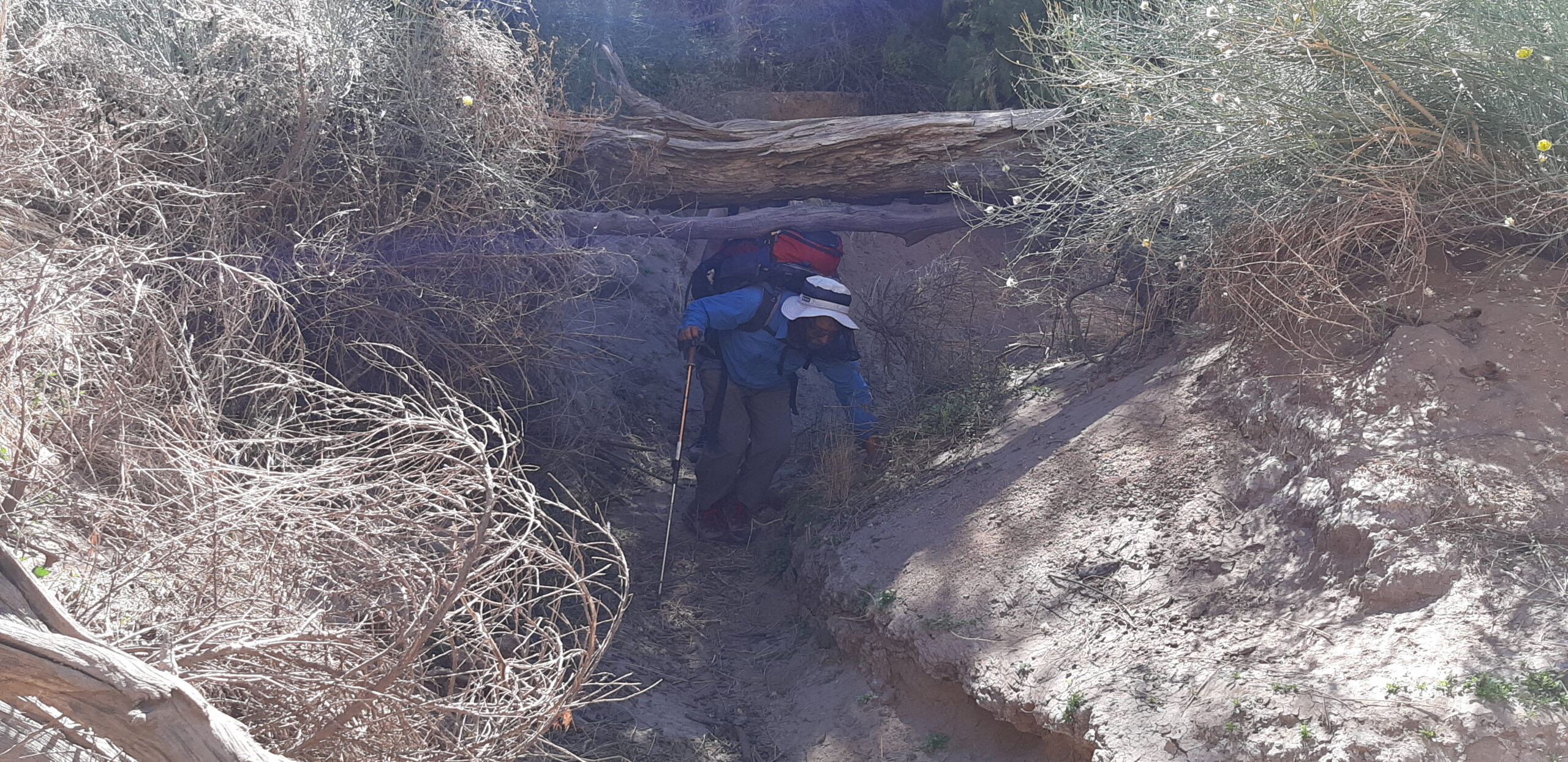 Discover the Thrill of Hiking The Klipspringer Trail in the Northern ...