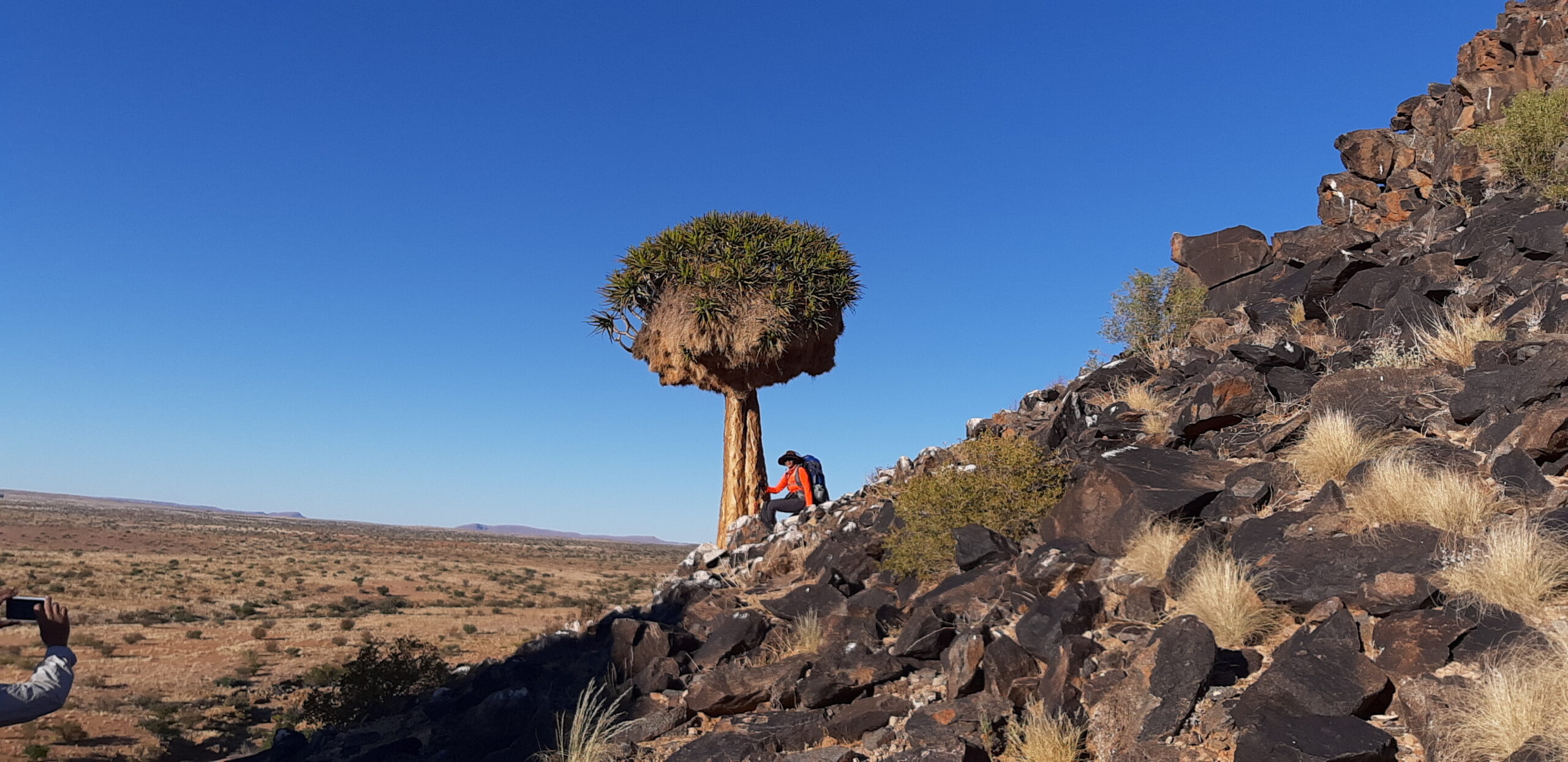 Discover the Thrill of Hiking The Klipspringer Trail in the Northern ...