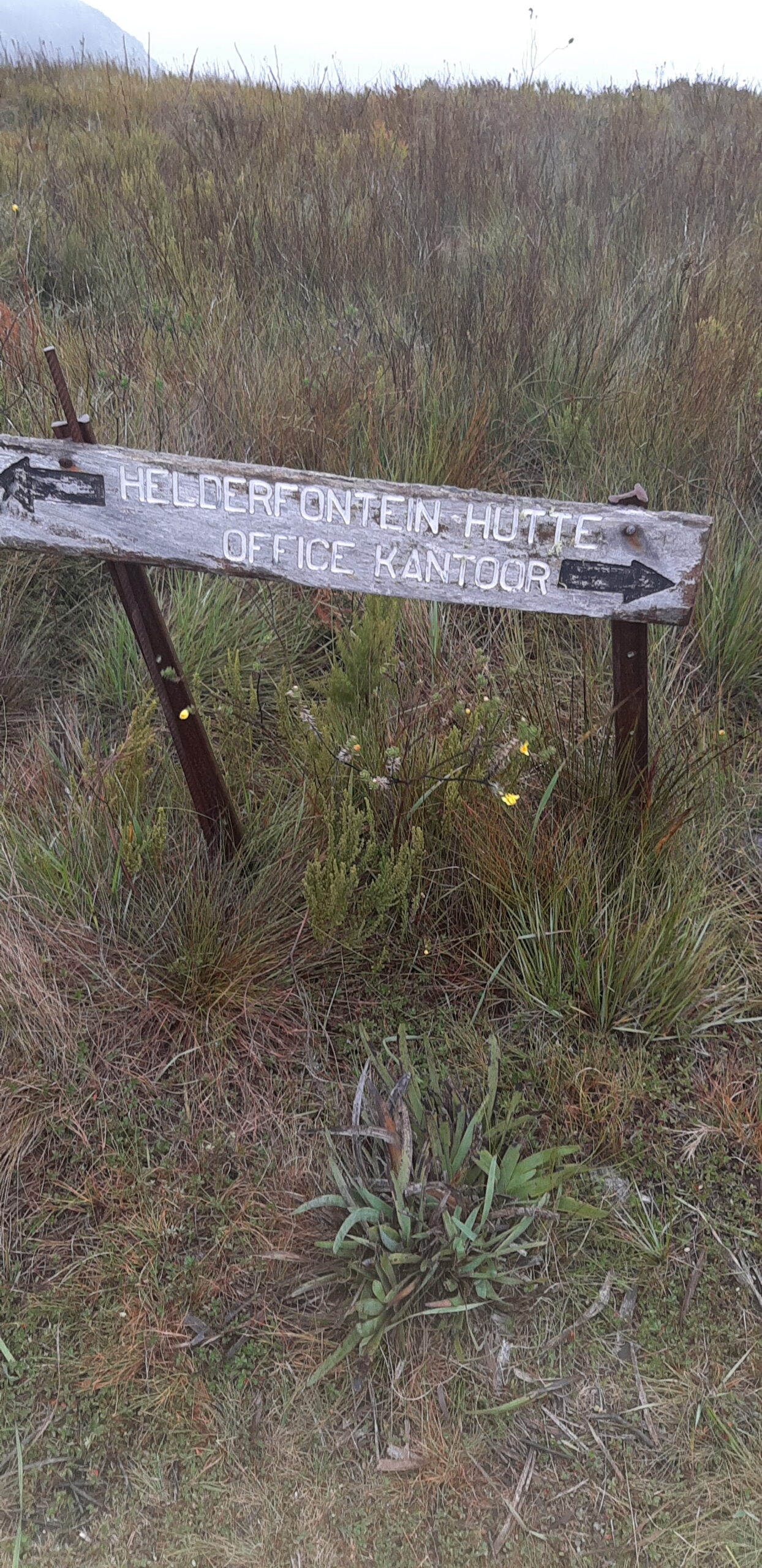 Unveiling the Splendor: Grootvadersbos Wilderness Hiking Trail - A ...