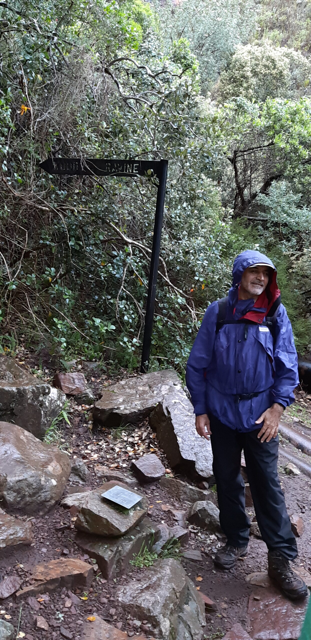 Unveiling the Majestic Woody Ravine - She Hikes ... A lot!