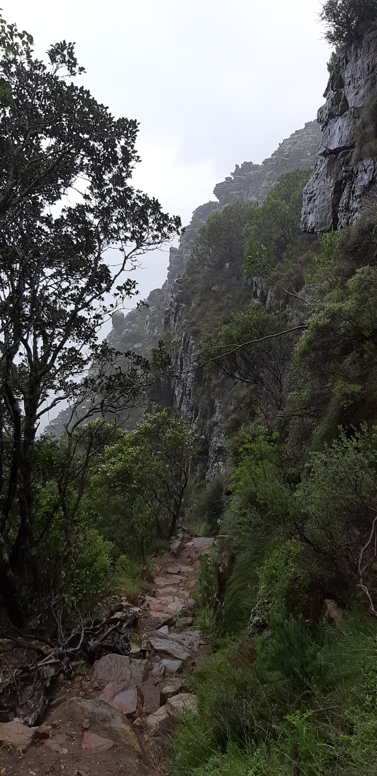 Unveiling the Majestic Woody Ravine - She Hikes ... A lot!