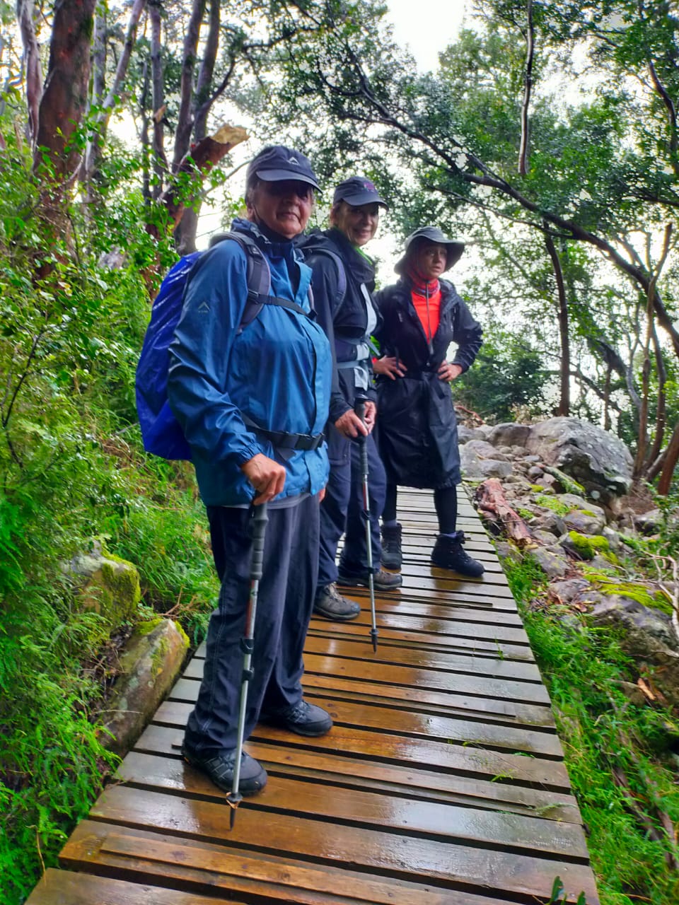 Rainy Day Hiking - She Hikes ... A lot!