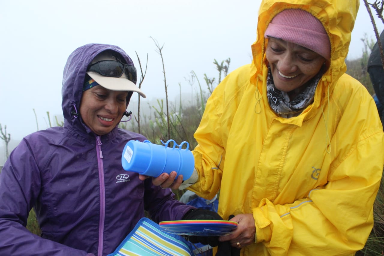 Unveiling the Splendor: Grootvadersbos Wilderness Hiking Trail - A ...