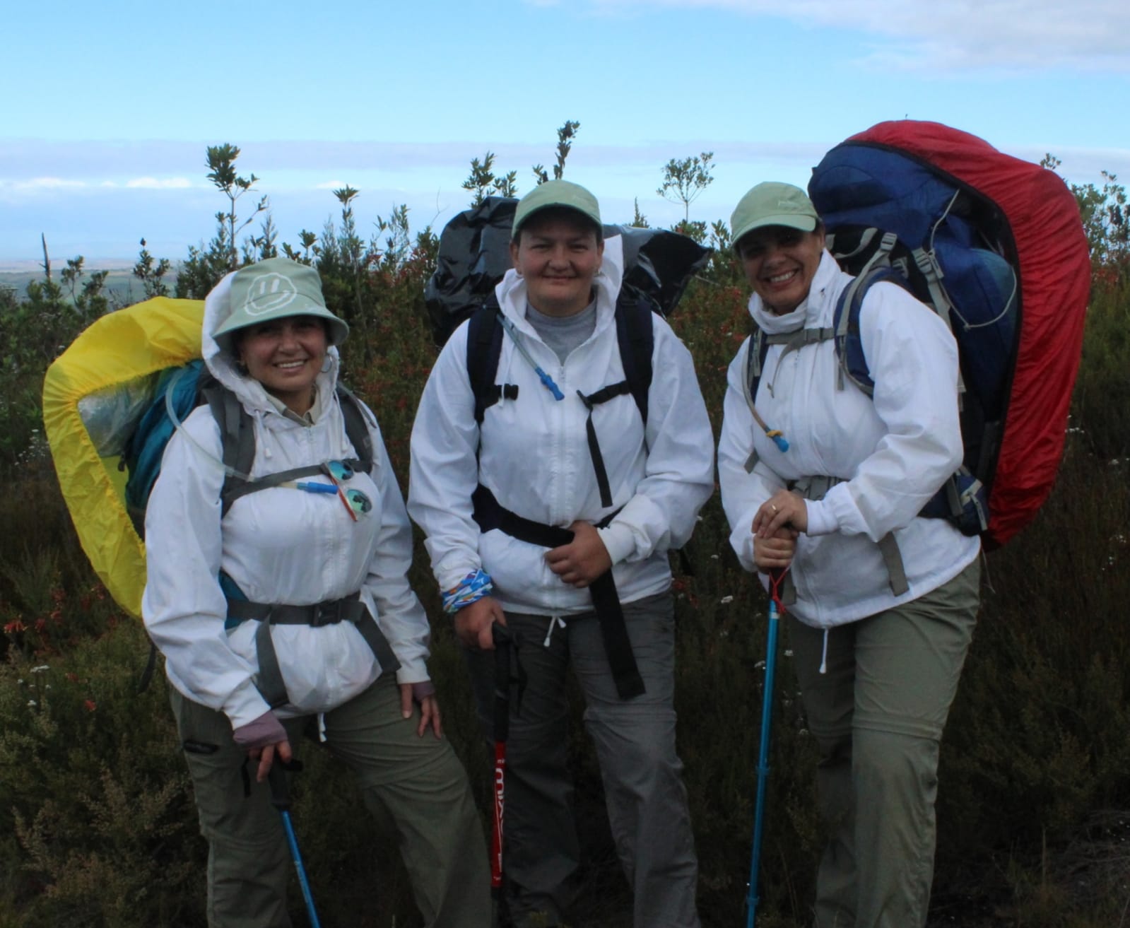 Unveiling the Splendor: Grootvadersbos Wilderness Hiking Trail - A ...