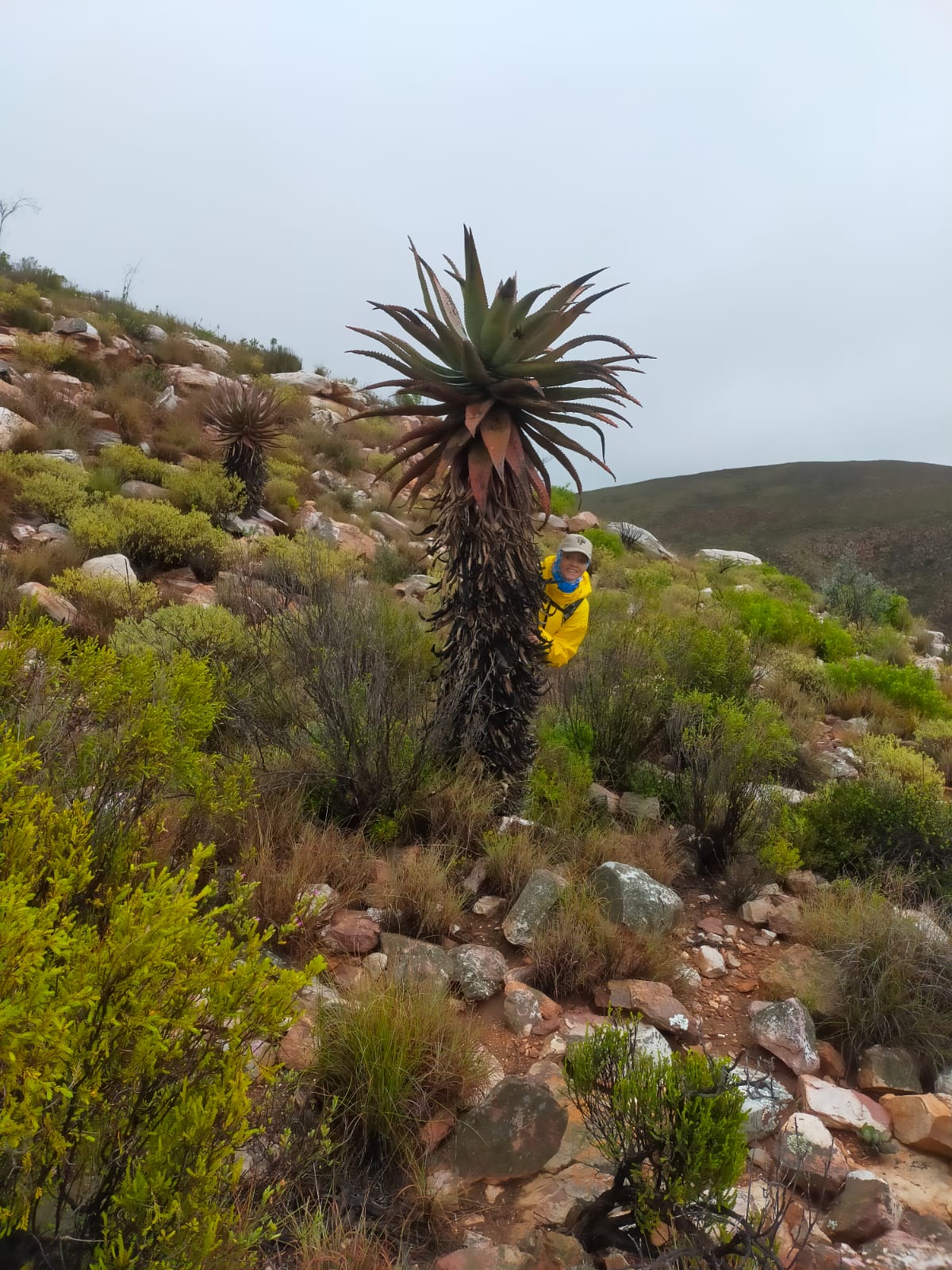 The Leopard Trail - She Hikes ... A lot!