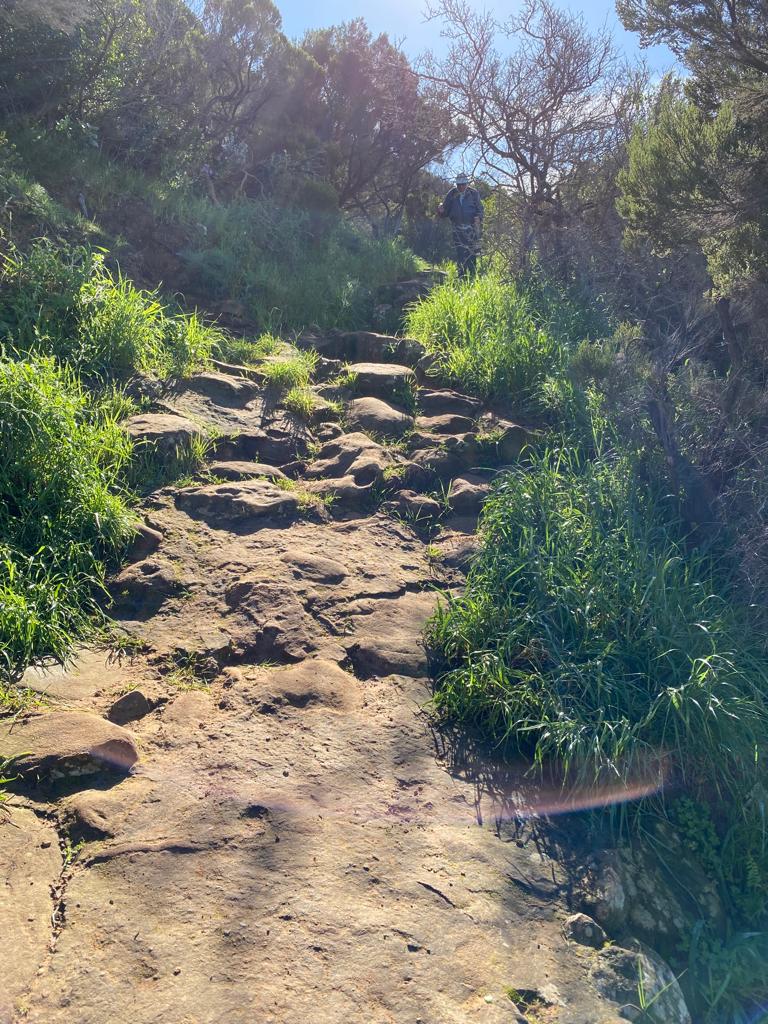 The Amphitheatre Hiking Trail (Kalk Bay) - She Hikes ... A lot!