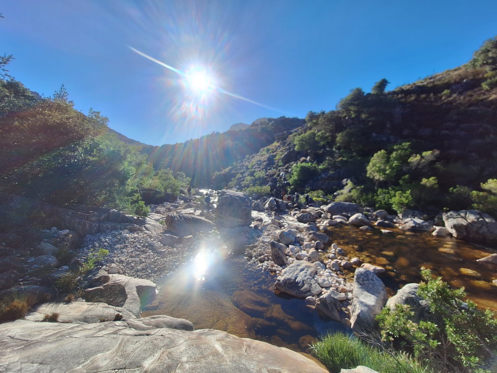 The Rockhopper Hiking Trail - She Hikes ... A lot!
